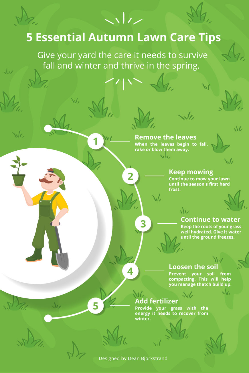 5 Essential Autumn Lawn Care Tips - Dean Bjorkstrand Landscaping